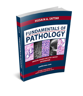 Pathoma | USMLE Step 1 and Medical Course Review